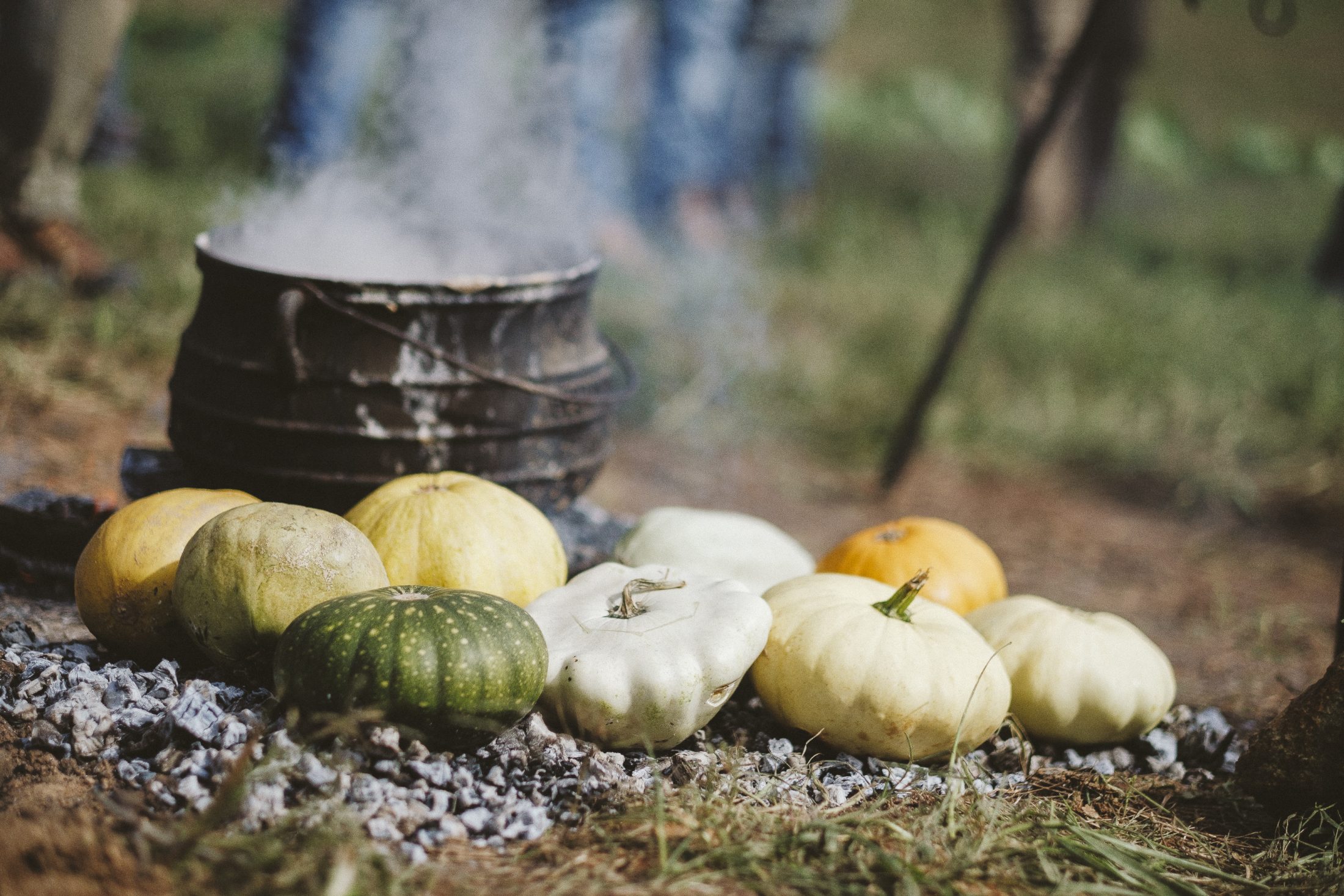 Decolonizing Thanksgiving And Reviving Indigenous Relationships to Food ...