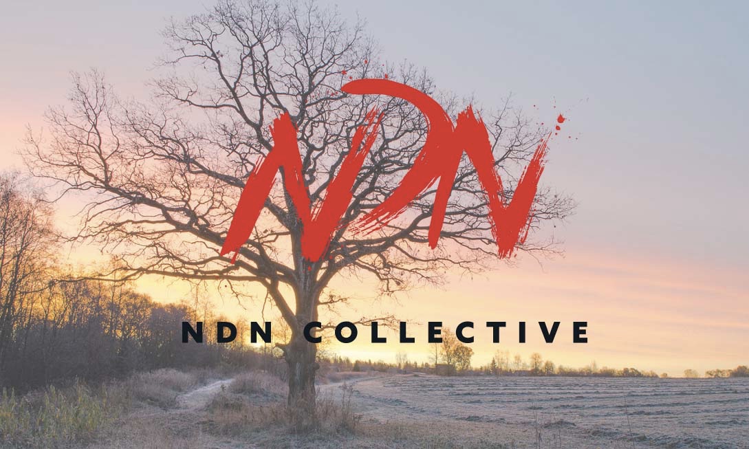 NDN Collective Awards $4.5 Million in Grants to 105 Indigenous-led ...