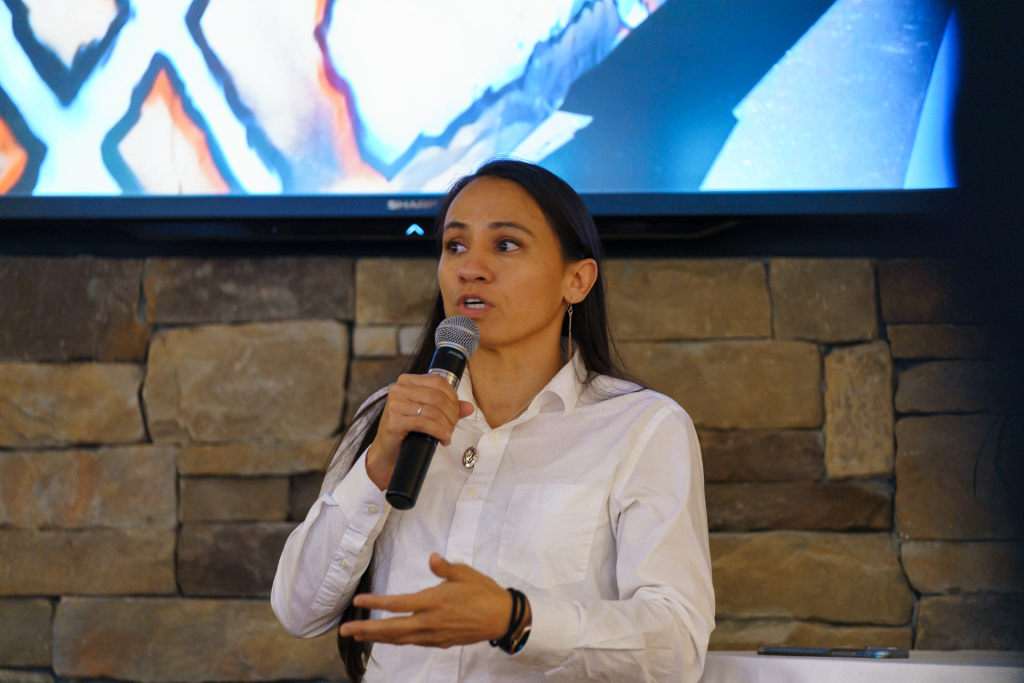 NDN Collective Gives Voice to Indigenous Issues During ‘Impact Days ...